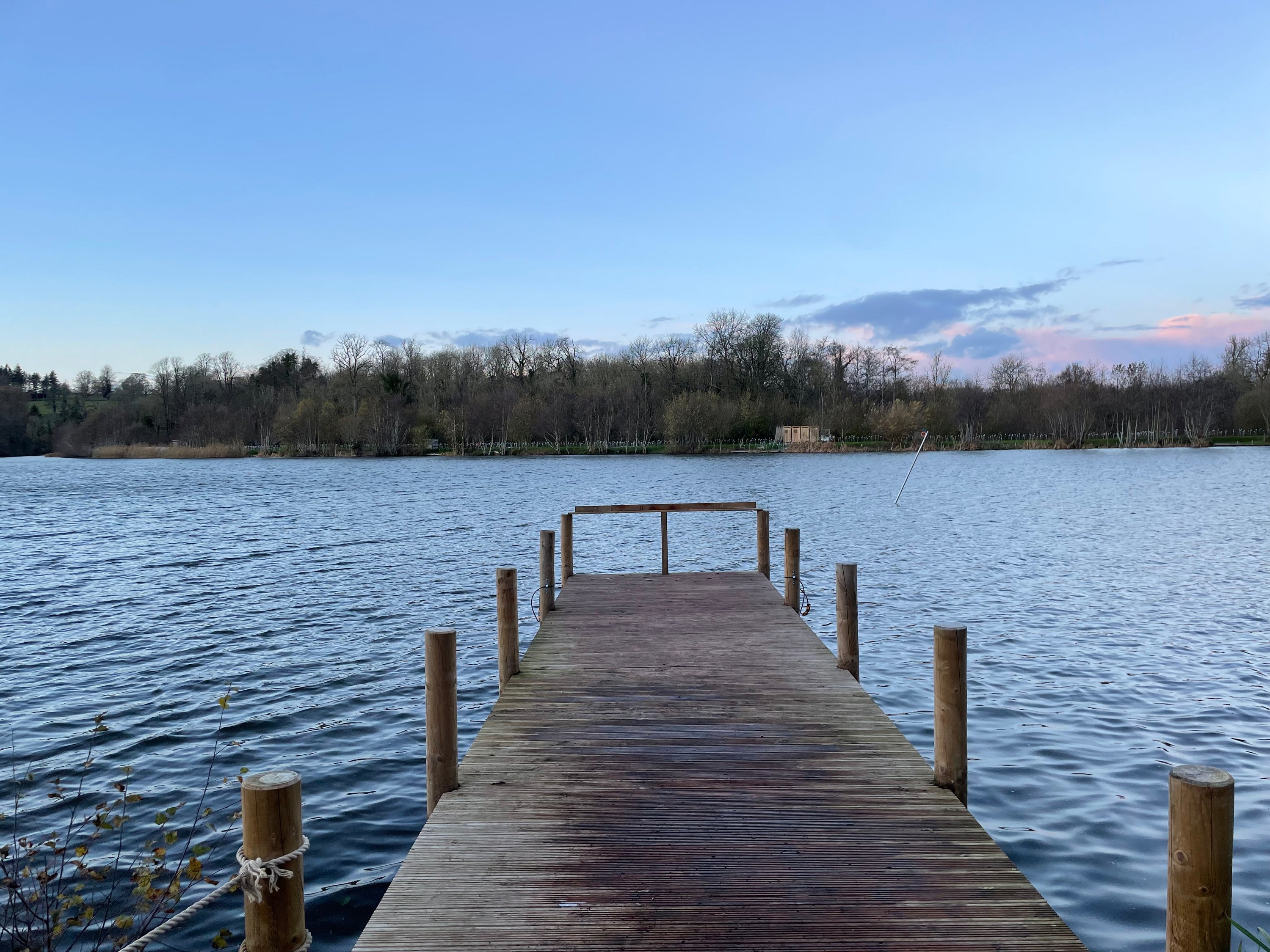 Wilda – Wilda Swim Ltd